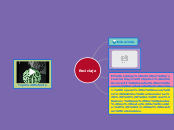 Reciclaje - Mind Map